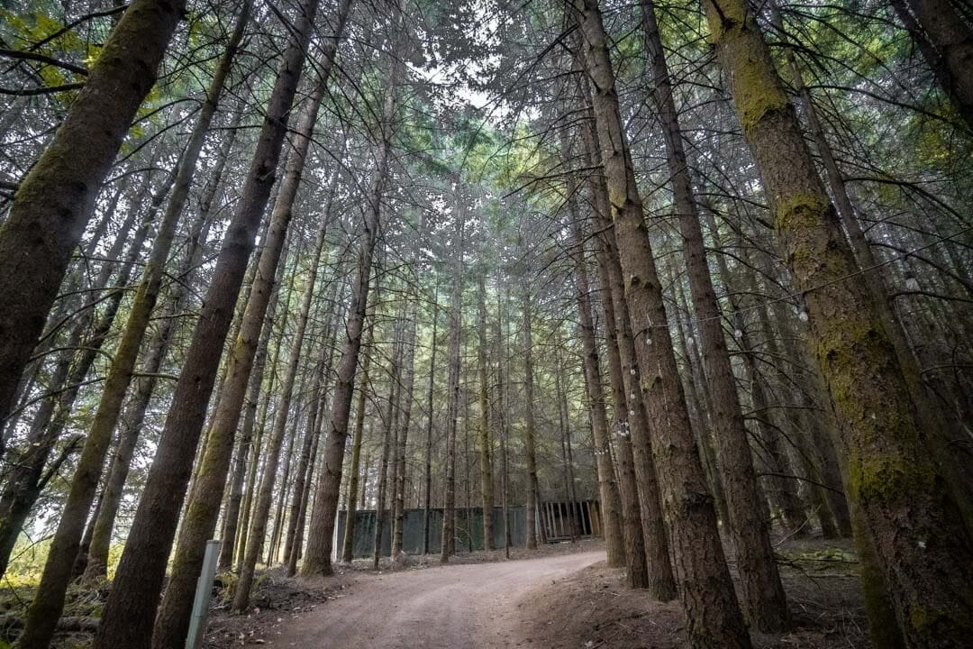Read This Before Visiting the Airplane Home, Oregon | gracefkim