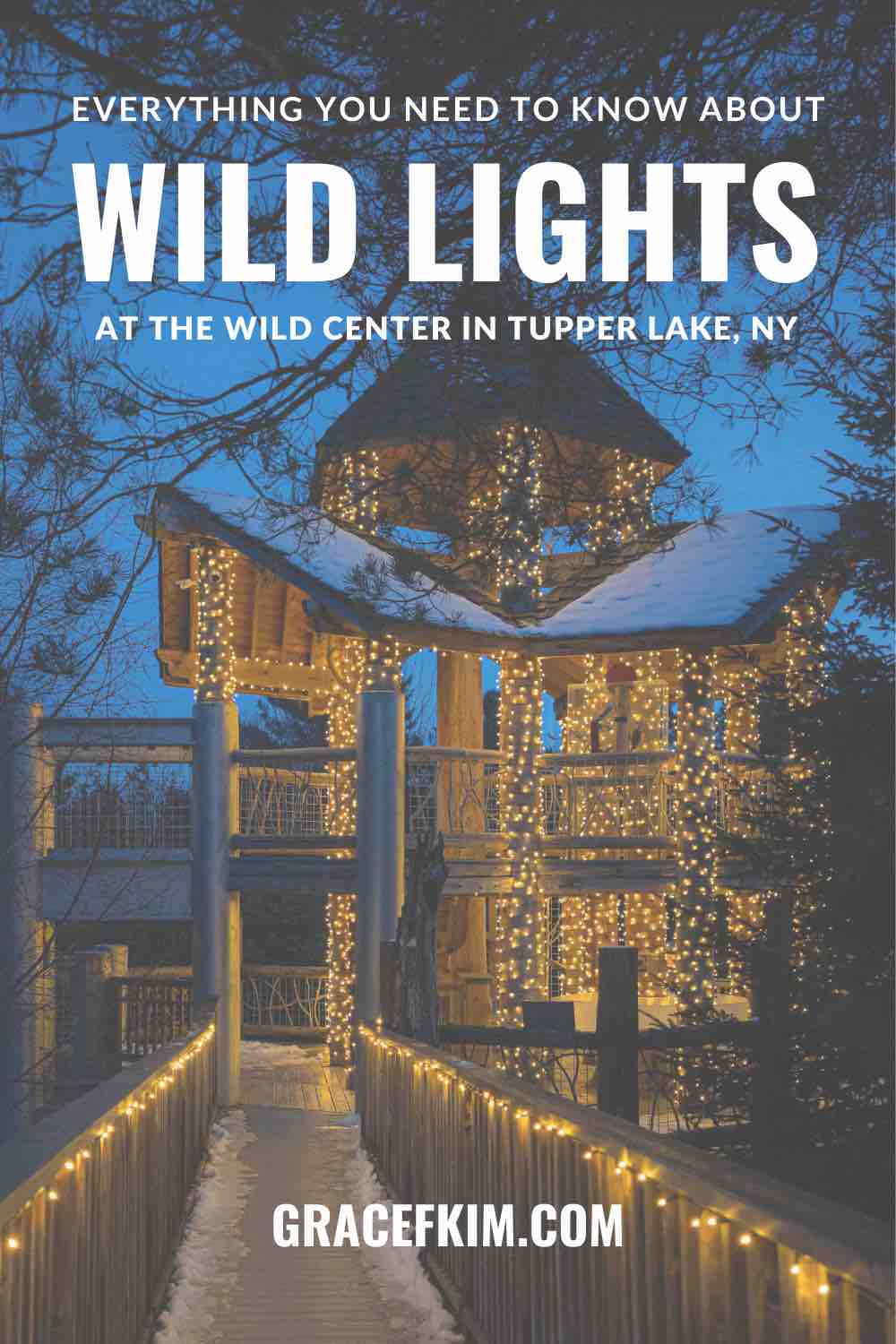 Wild Lights: The Best Place To Visit in New York During Winter