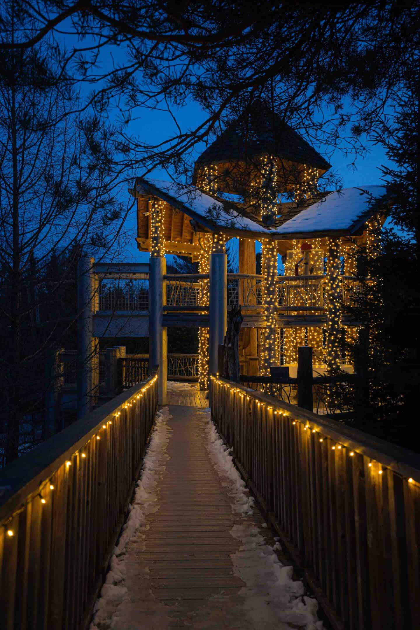 Wild Lights: The Best Place To Visit in New York During Winter